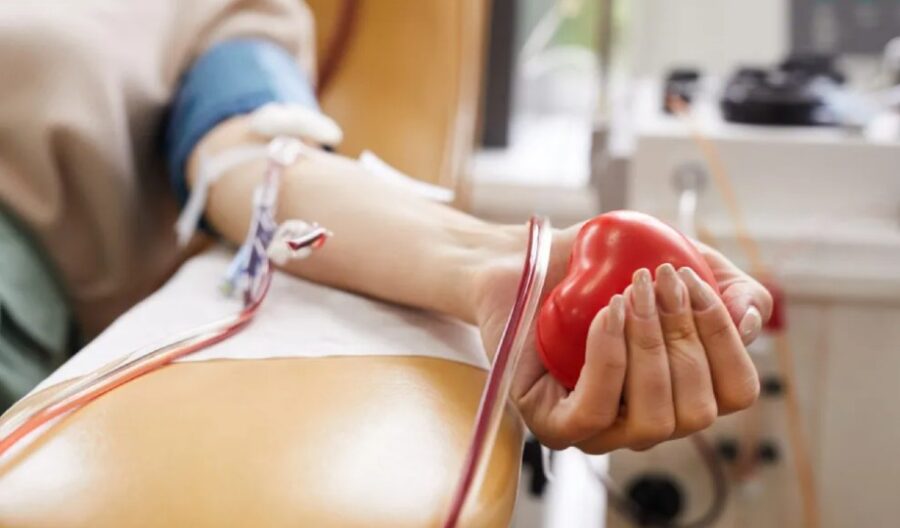 Supremo Tribunal Federal reconhece direito de Testemunhas de Jeová ...